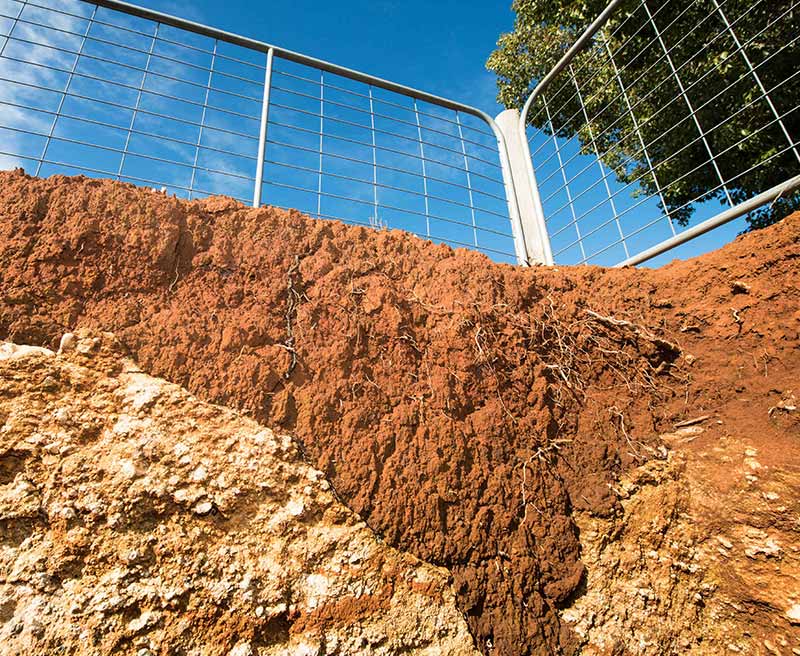 Our Vineyards | Balnaves of Coonawarra