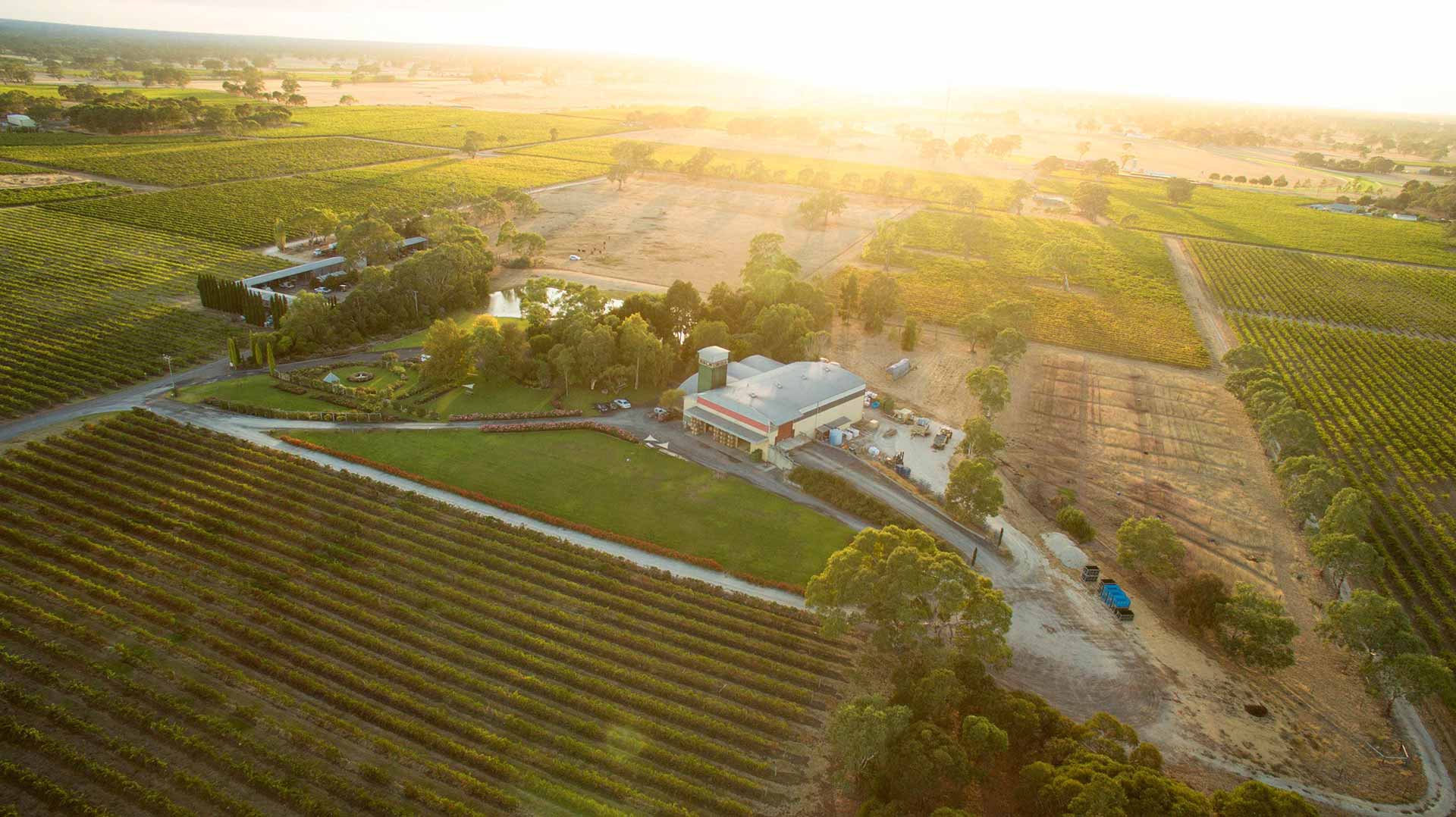 Balnaves of Coonawarra